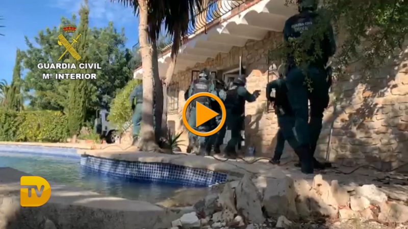 Desarticulada Una Organización Criminal Especializada En El Cultivo De