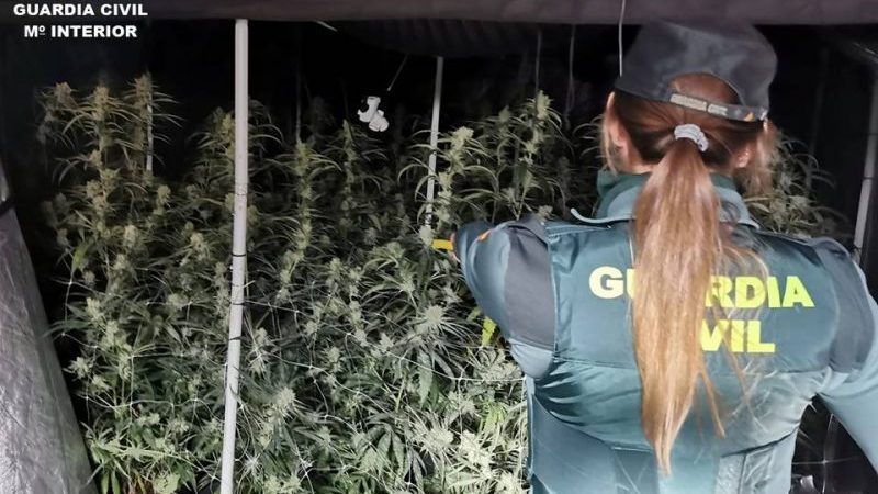 La Guardia Civil desmantela dos plantaciones dedicadas al cultivo “indoor” de marihuana en Calpe ...